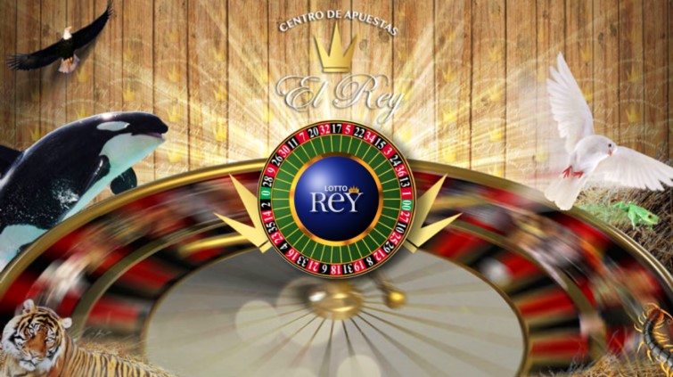 lotto-rey